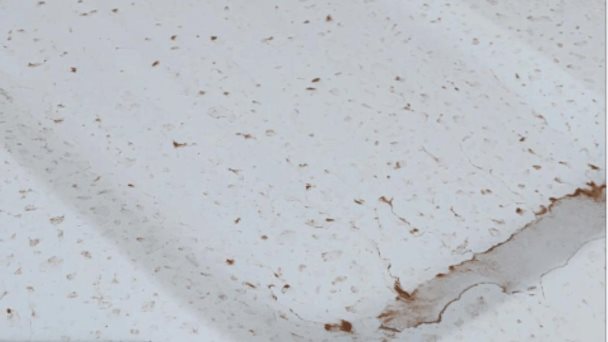 Deja asombro la arena rojiza