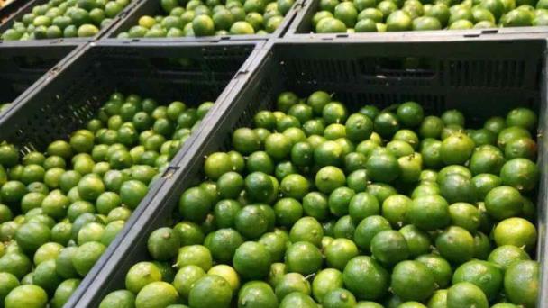 Limón se vende a 48.90 por kilo
