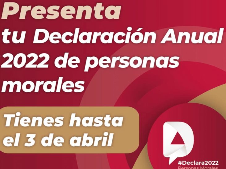 Declaración Anual 2023 Carca Del Plazo